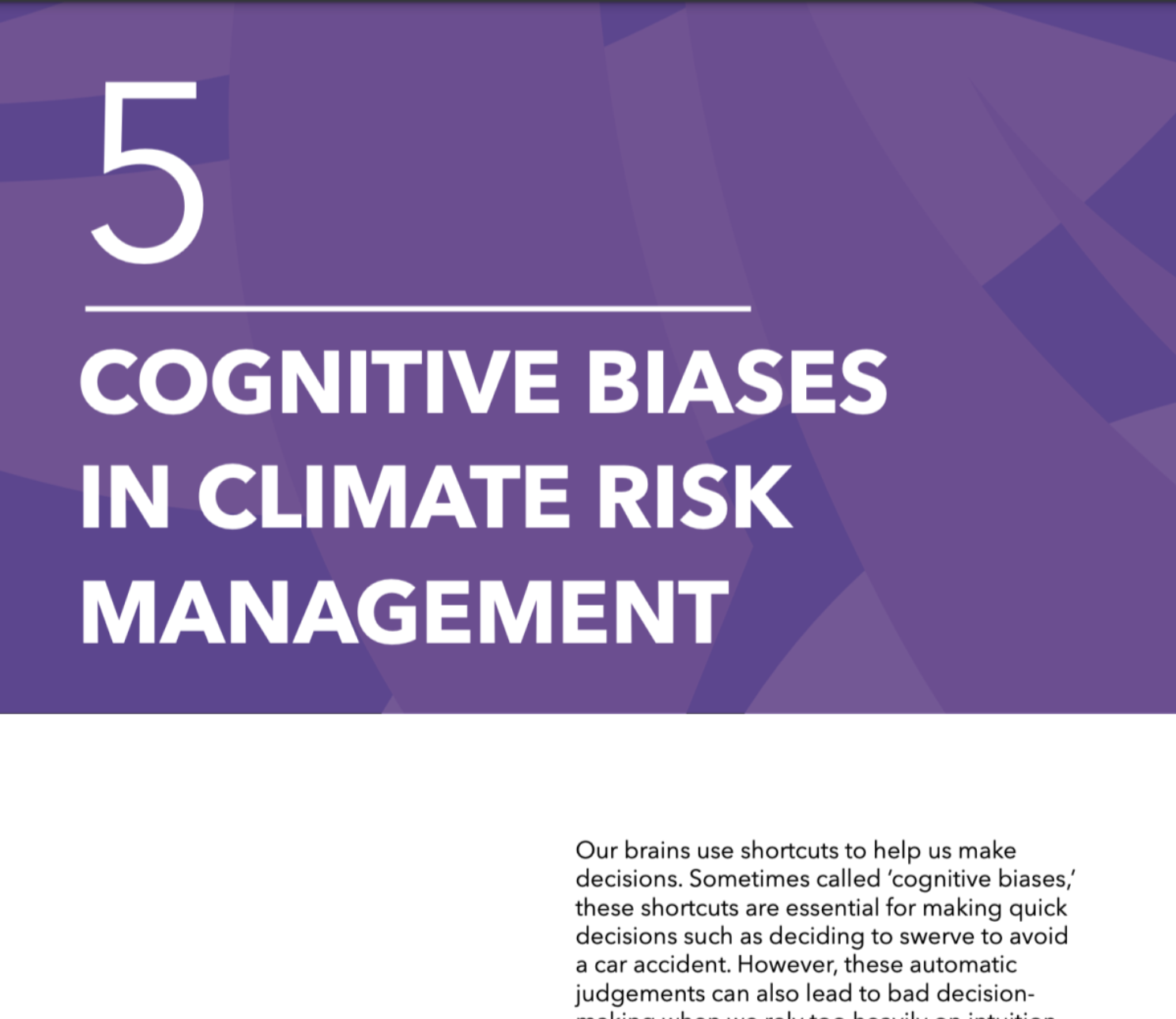 Cognitive bias in climate change management - Risk know-how