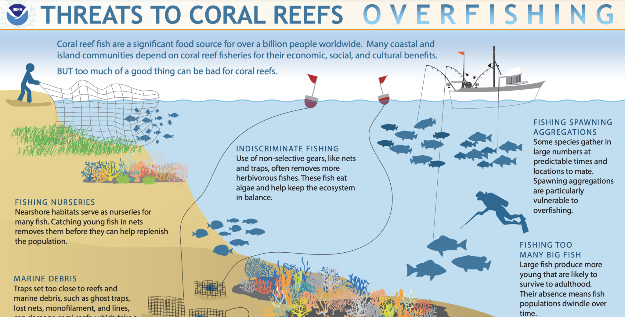 Threats to coral reefs due to overfishing - Risk know-how