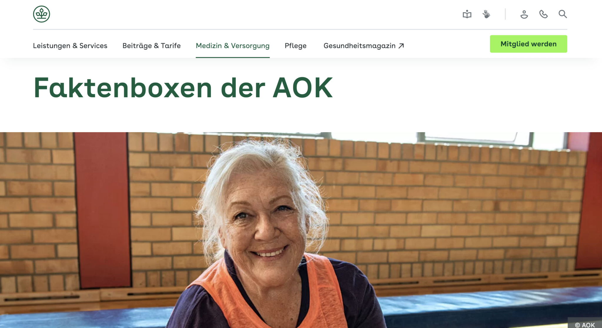 AOK fact boxes - Risk know-how